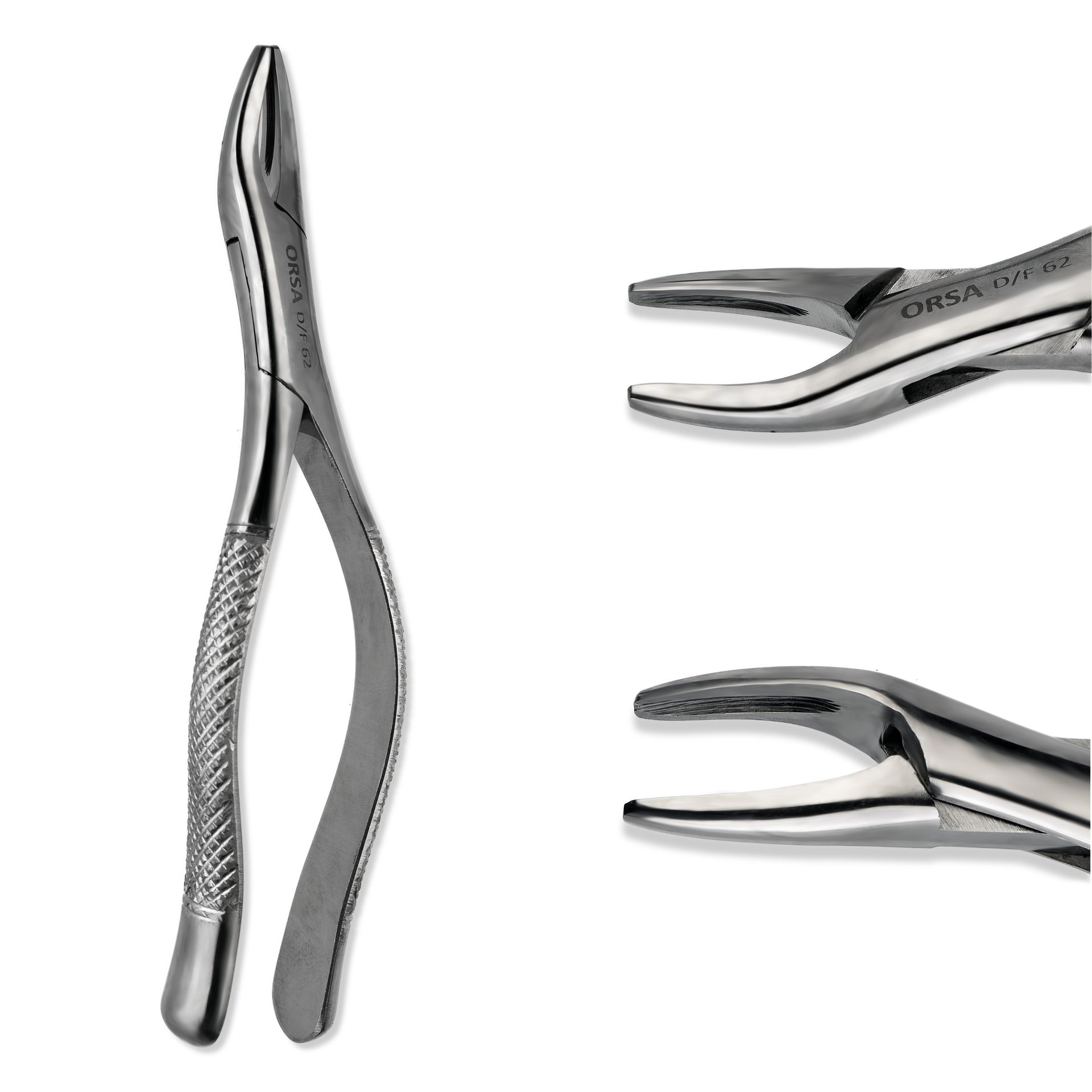 Forcep 62 para incisivos premolares | ORSA